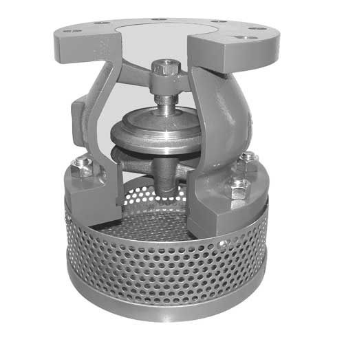 Foot Valve là gì? Thông số kỹ thuật cơ bản của các loại van chõ bơm